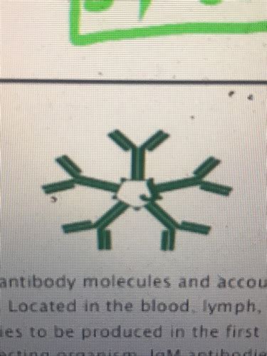 Micro Test 4 Flashcards Quizlet