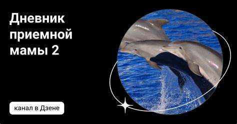 Дневник приемной мамы 2 Дзен