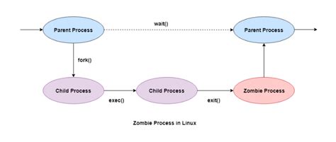 Learnprograming Byluckysir What Is Zombie Process In Linux