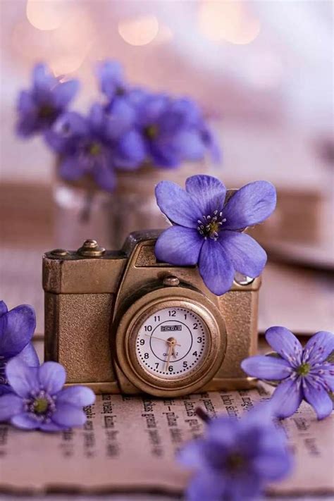 Pin By Susie Hanks Swain On AltЁЯЄd ⊱treasures⊰ Re Purposed Flowers