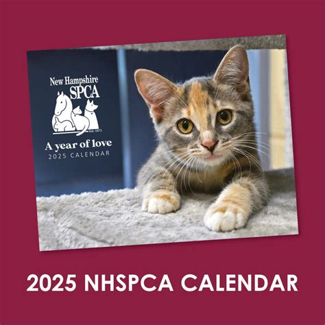Nhspca Homeward Bound Online Shop