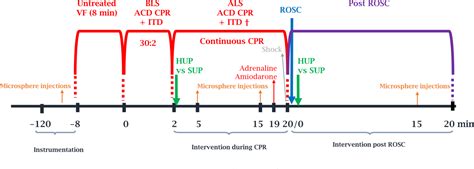 Figure 1 From Head And Thorax Elevation During Active Compression Decompression Cardiopulmonary