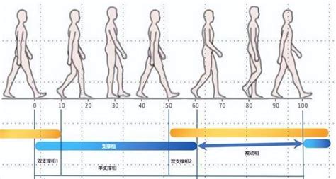 🚶♂️步态动作分析表全解析📊