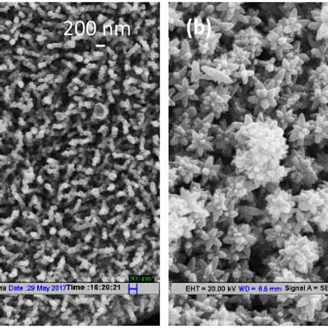 Fesem Image Of A Tio2 Nanostructure Prepared Using 30 H2o2 And B