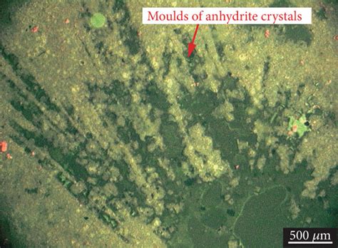 Muschelkalk Dolostones With A C Sla 1295 80 Abundant Eogenetic Download Scientific Diagram