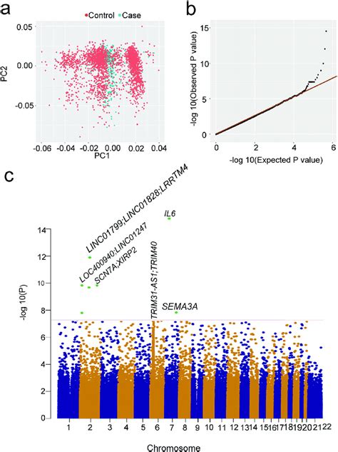 Summary Of Gwas Results A Principal Component Analysis Pca B The