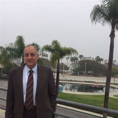 Hesham El Sayed Professor Full Ain Shams University Cairo