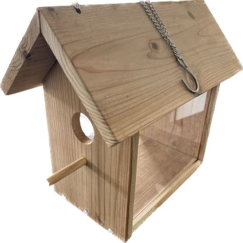 Meal Worm Feeder Maxx Boards