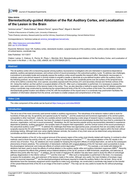 Pdf Stereotactically Guided Ablation Of The Rat Auditory Cortex And