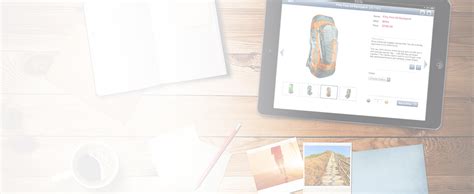 LSI background ecommerce development 雷技信息科技上海有限公司