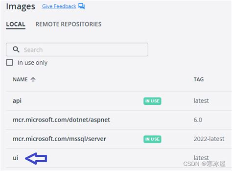 将带有api和sql Server数据库的全栈aspnet Core部署到docker容器net Sql Server Docker打包
