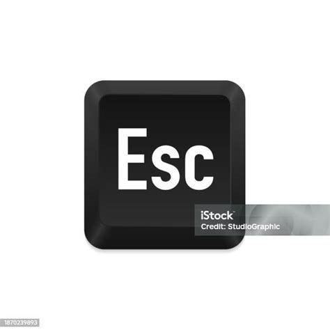 Black Keyboard Esc Button Key Vector Icon Escape Keyboard Logo Computer Cartoon Illustration