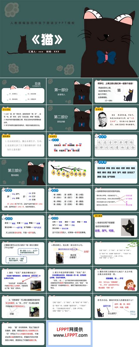猫ppt课件完整版优秀课件下载 LFPPT