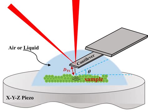1 Close Up View Of Tip Sample Interaction In A Typical Hs Afm