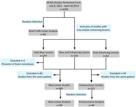 Frontiers 3d U Net For Automated Detection Of Multiple Sclerosis Lesions Utility Of Transfer