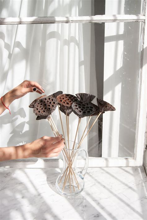 Kwiat Lotosu - Susz egzotyczny | AWAI Concept Store