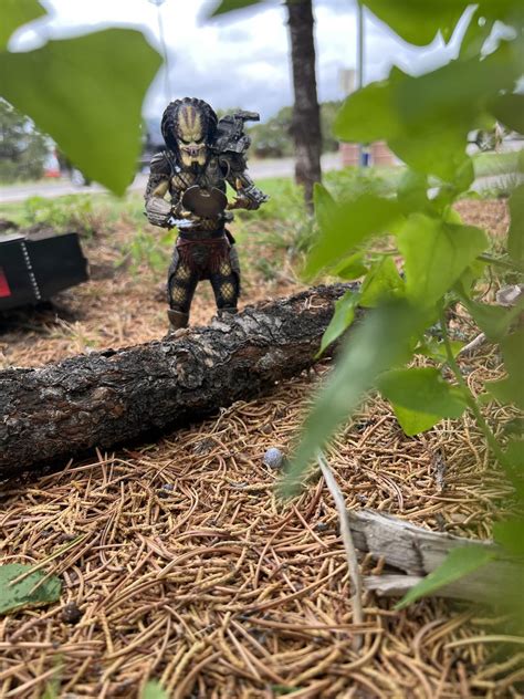 Jungle Hunter Pose That I Did In Colorado R Predator