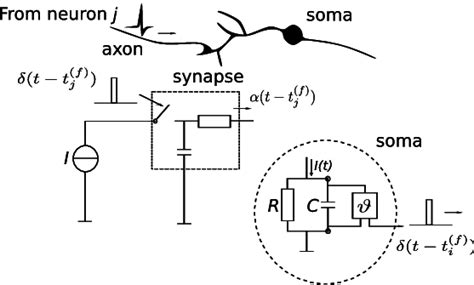 3 Schematic Diagram Of The Integrate And Fire Model The Basic Circuit