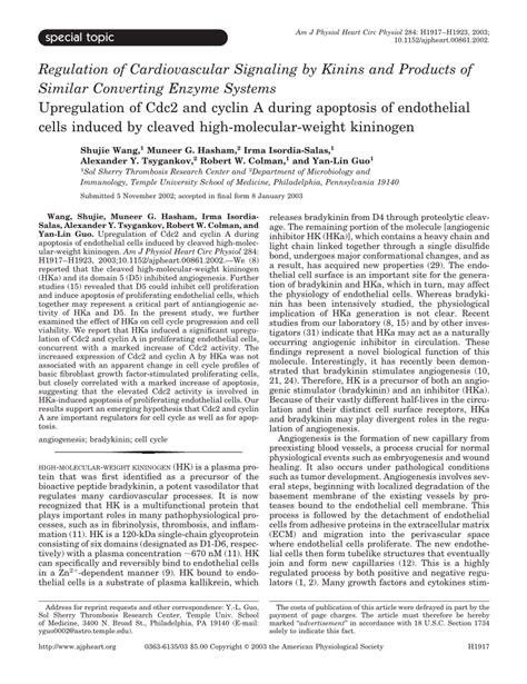 Pdf Upregulation Of Cdc2 And Cyclin A During Apoptosis Of Endothelial