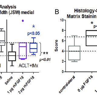 A Analysis Of Joint Space Width JSW Was Made Using Ruler Function In Download Scientific