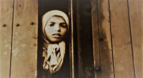 Setella History Of Sorts