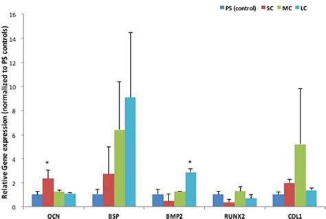 Relative Gene Expression Of Ocn Bsp Bmp2 Runx2 And Col1 Genes At 28