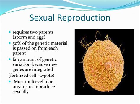 Cellular Reproduction Ppt Download