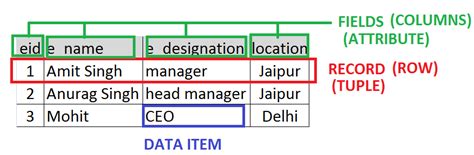 Class 10 It 402 Database Management System Notes Exams Mantra