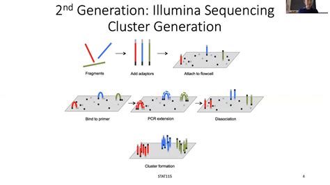 Types Of Generation Sequencing At Carmen Wong Blog