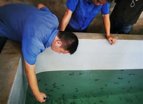 填补5项国内空白！象山港湾水产苗种打造种业 芯片”精耕 海洋牧场”