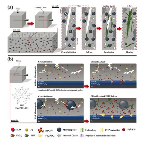 Dual Functional Self Healing System Based On Hpo42 Restorative Microcapsules For Sustainable