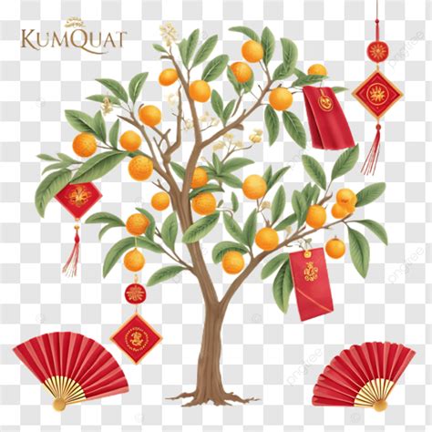 익은 과일과 녹색 잎으로 장식된 하나의 생기 넘치는 금귤 나무 가지 잘 익은 과일 금귤 나무 베트남 전통 Png 일러스트 및 이미지 에 대한 무료 다운로드 Pngtree