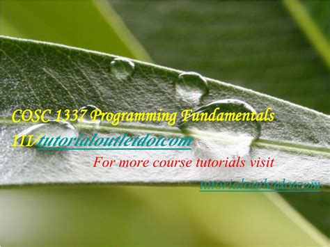 Ppt Cosc 1337 Programming Fundamentals Iiitutorialoutletdotcom Powerpoint Presentation Id