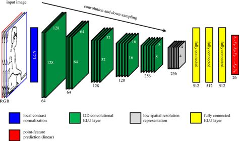 Neural Network Architecture Layers Of Convolutional Elu Filters Download Scientific Diagram