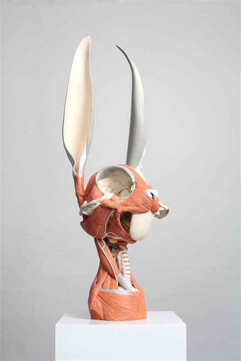 Korean Artist Hyungkoo Lees Bizarre Experimental Artworks Featuring Skeletons And Cartoon