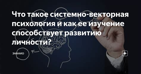 Что такое системно-векторная психология и как ее изучение способствует ...