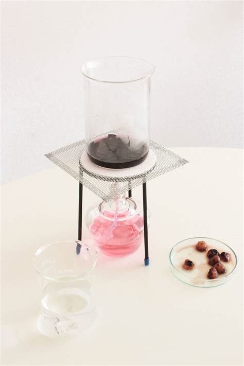 Heres A Truly Biodegradable Algae Based Bioplastic You Can Make At Home