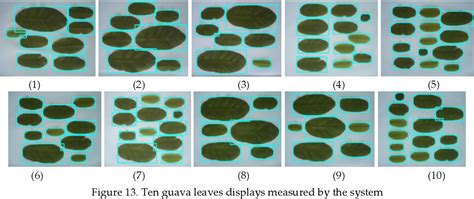 Figure 13 From Design Of Crop Leaf Area Measurement Using Webcam And