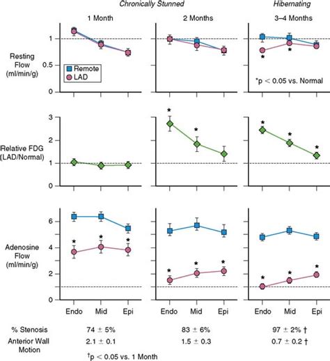 Pathophysiologic Basis Of Hibernating Myocardium Clinical Gate