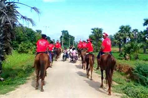 Dvb ေတာင္သာၿမိဳ႕တြင္ အန္အယ္လ္ဒီက ျမင္းကုိယ္စီျဖင့္ မဲဆြယ္စည္းရုံး ဓာတ္ပုံ