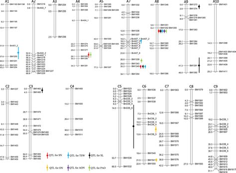 The Genetic Linkage Map And Qtls For Six Sn Related Traits Identified Download Scientific
