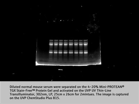 Bioimaging Selection
