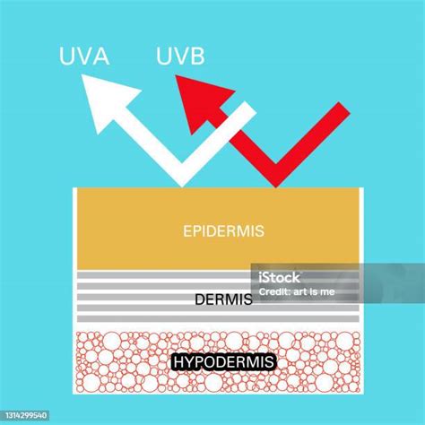 자외선 차단 벡터 피부 비교 Uva 와 Uvb 모두 보호 알파벳 B에 대한 스톡 벡터 아트 및 기타 이미지 알파벳 B