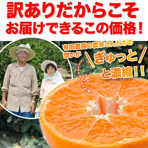 楽天市場訳あり ちょっと訳ありみかん 10kg 農家直送 訳あり 有田 みかん蜜柑10 0kg 10キロ 自宅用 和歌山県 有田市