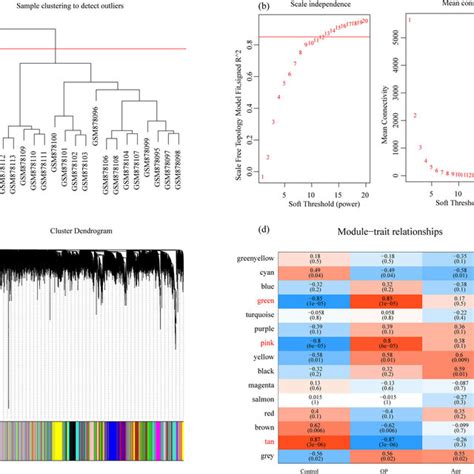 Wgcna A Cluster Analysis Of Samples B Analysis Of Network