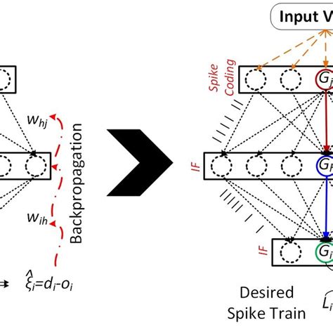 the 2 layer conventional left and spiking right network download scientific diagram