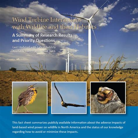 Wind Turbine Impacts On Birds And Bats 2016 Summary Now Available Renewable Energy Wildlife
