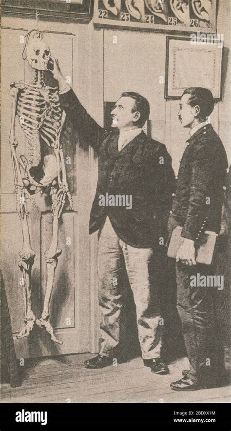 Bertillon System Banque De Photographies Et Dimages à Haute Résolution