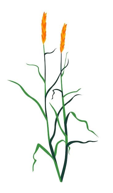 단풍과 식물이 있는 잔디 야생화 식물 프리미엄 벡터