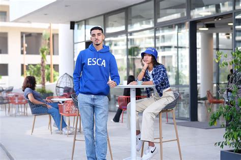 Master Spécialisé Marketing Digital